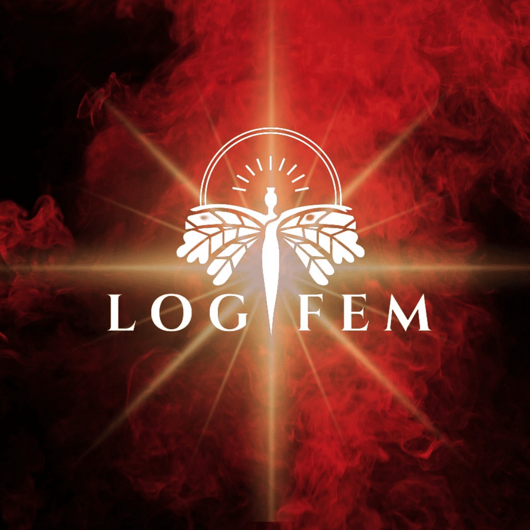 Meetings – LogiFem